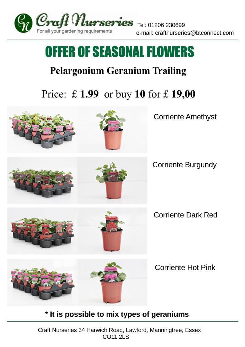 Craft Nurseries Garden Centre Lawford CO11 2LS